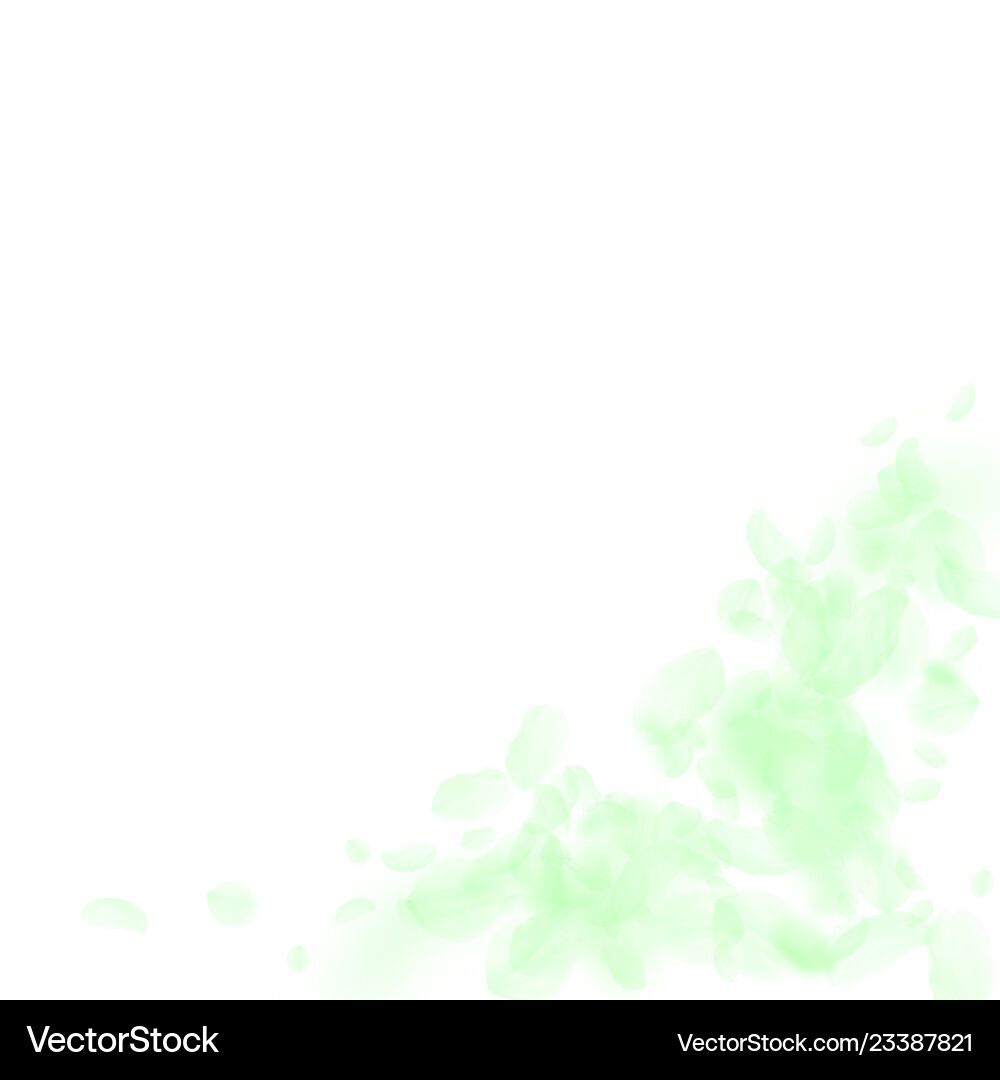 Green flower petals falling down enchanting roman Vector Image