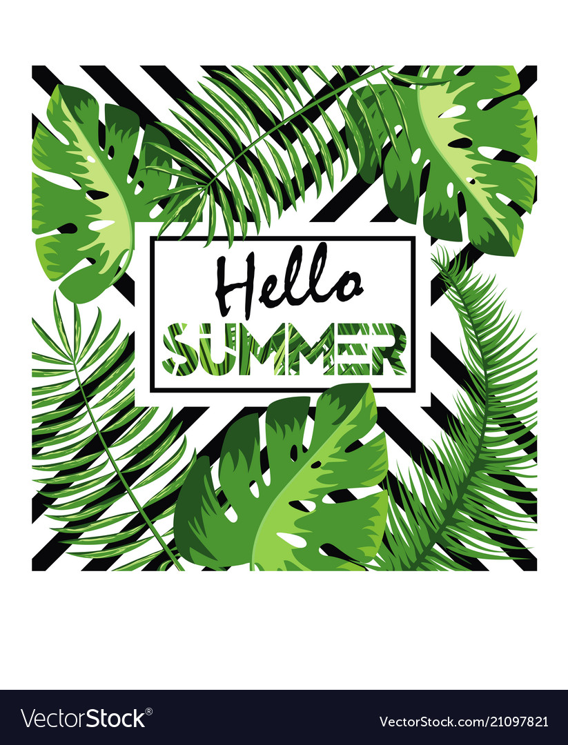 Hello summer background fun Royalty Free Vector Image