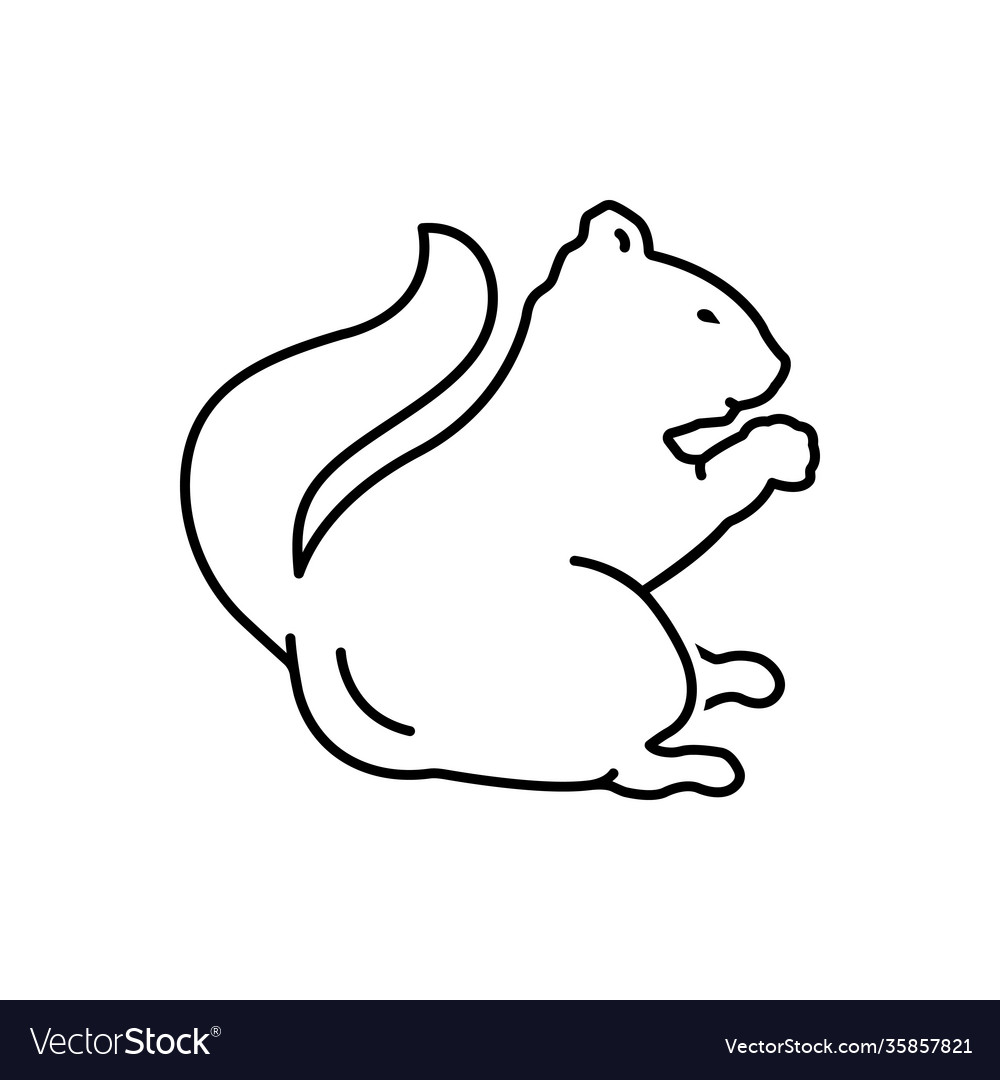 Squirrel Royalty Free Vector Image - VectorStock