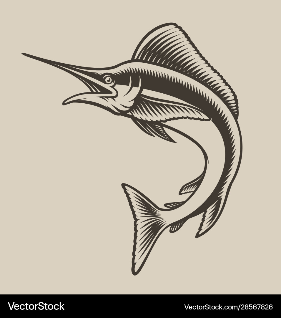 Black and white sea marlin in style Royalty Free Vector