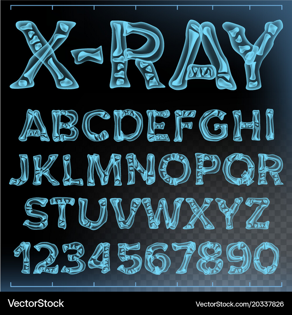 X-ray font transparent roentgen alphabet Vector Image