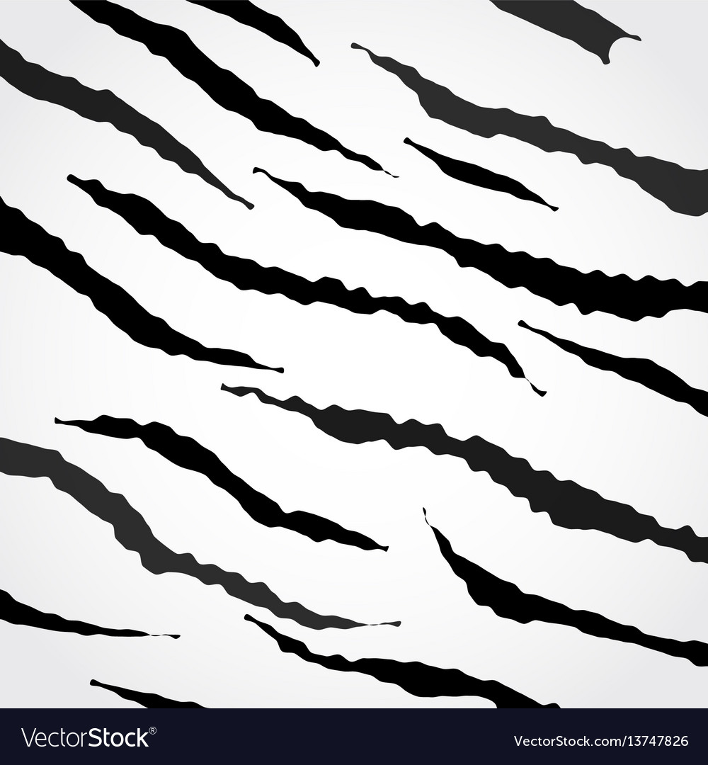 Zebra pattern Royalty Free Vector Image - VectorStock