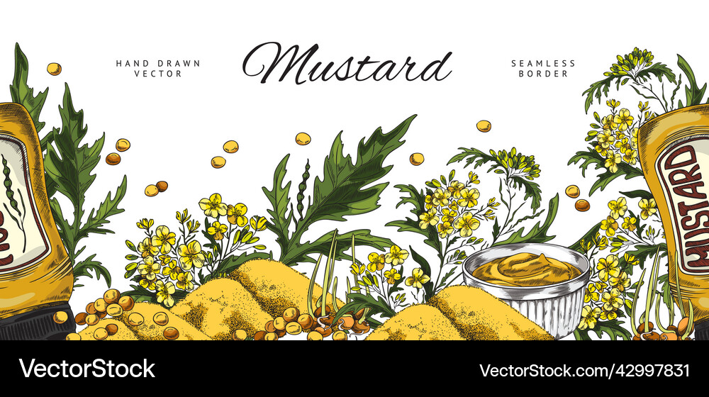 Hand drawn seamless border with mustard sketch Vector Image