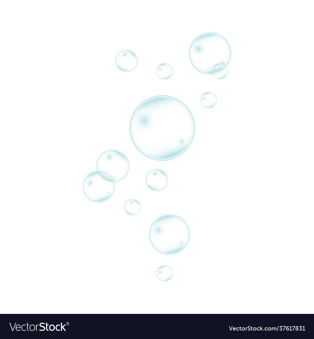 Realistic bubble Royalty Free Vector Image - VectorStock