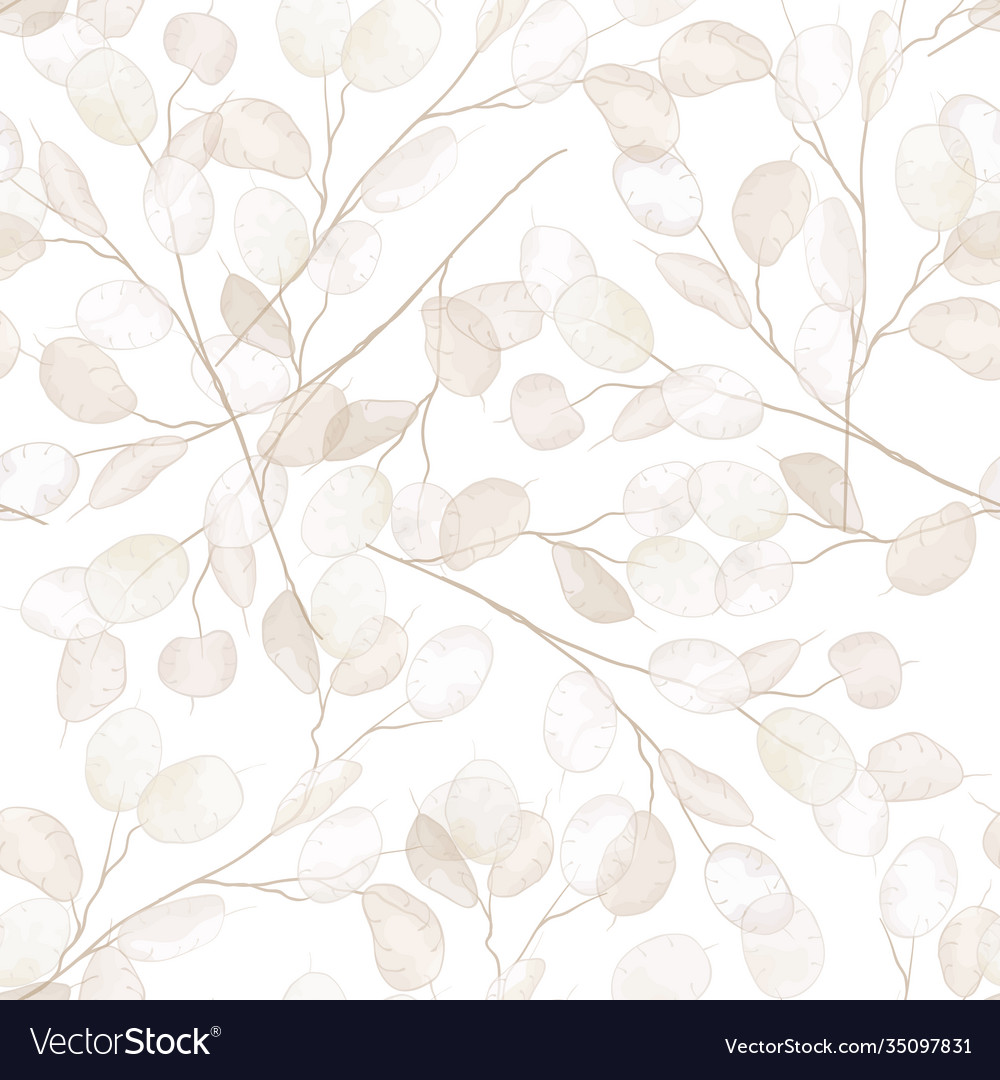 Seamless dry lunaria floral pattern Royalty Free Vector