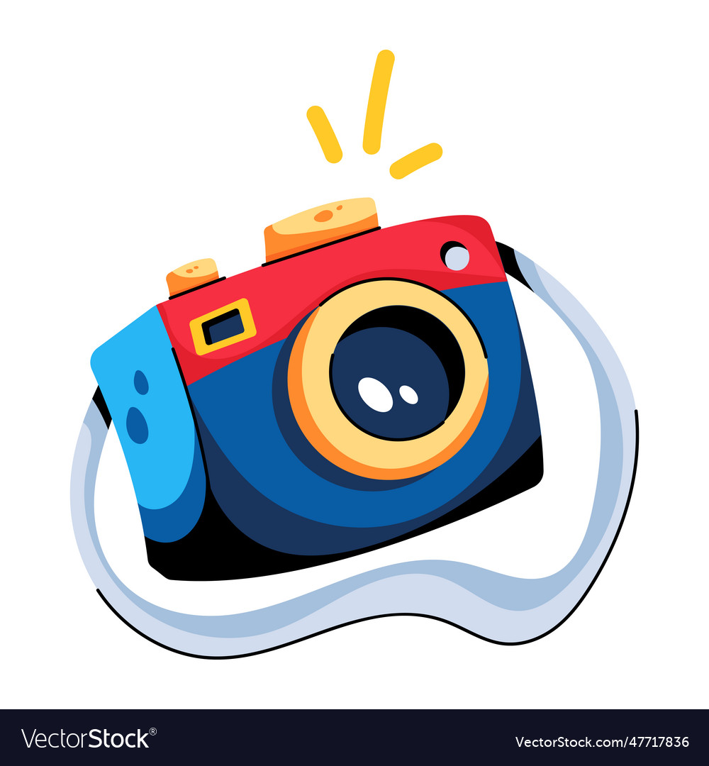 Digital camera Royalty Free Vector Image - VectorStock