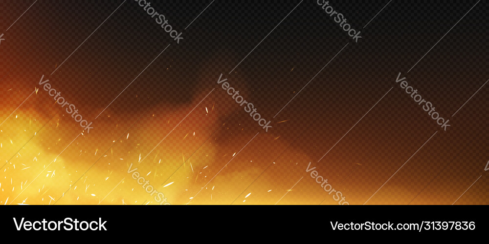 Fire sparks with smoke and flying up particles Vector Image