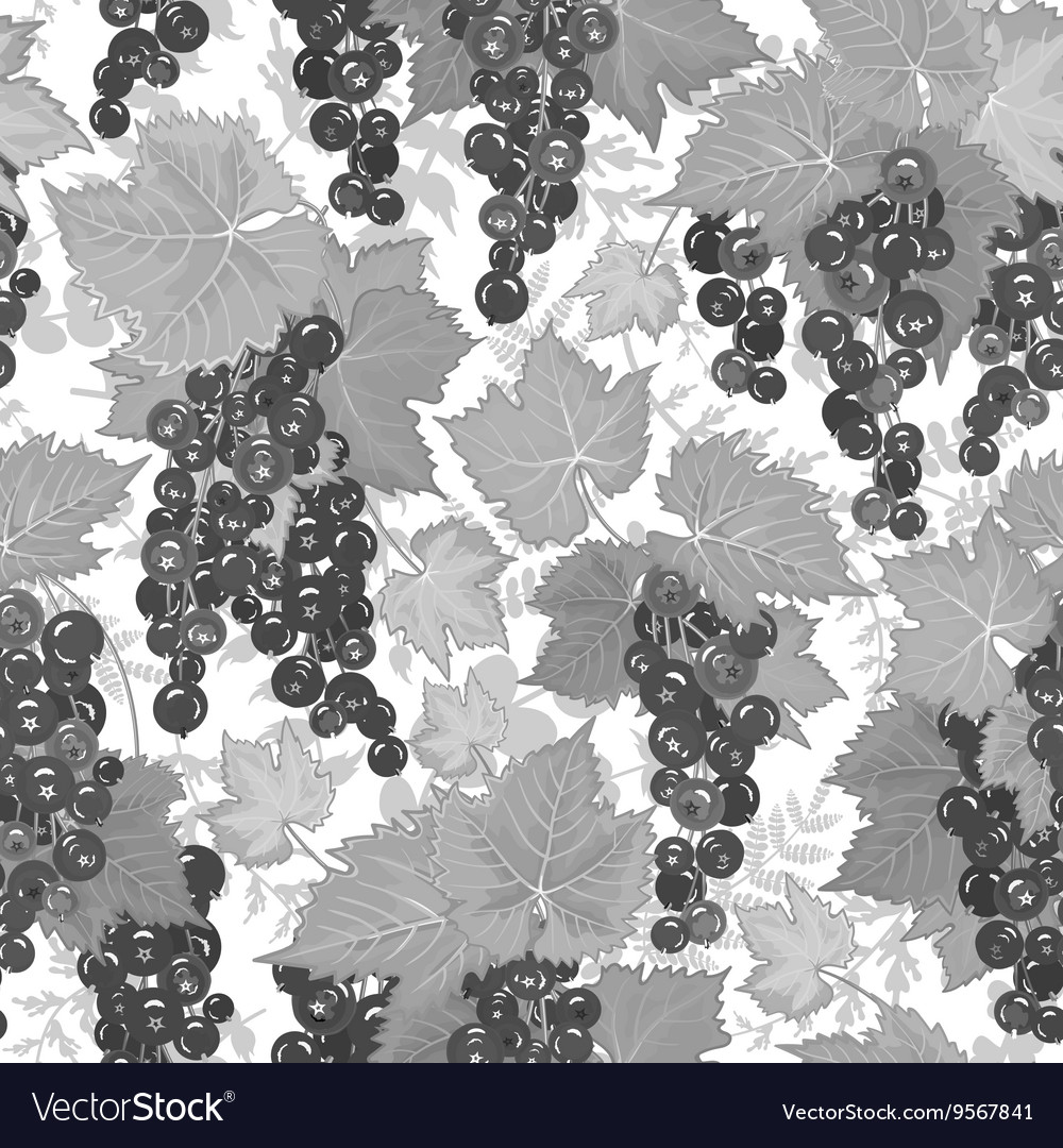 Berry pattern background with currant Royalty Free Vector