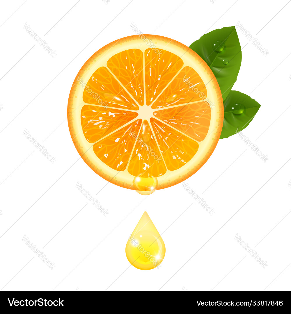 Guicy orange with a drop juice Royalty Free Vector Image