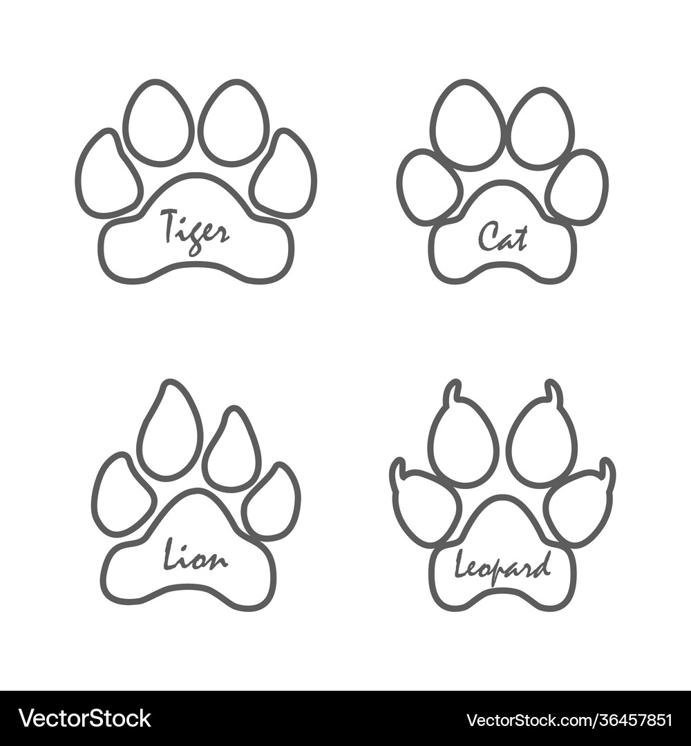 Traces animals cat leopard lion tiger Royalty Free Vector