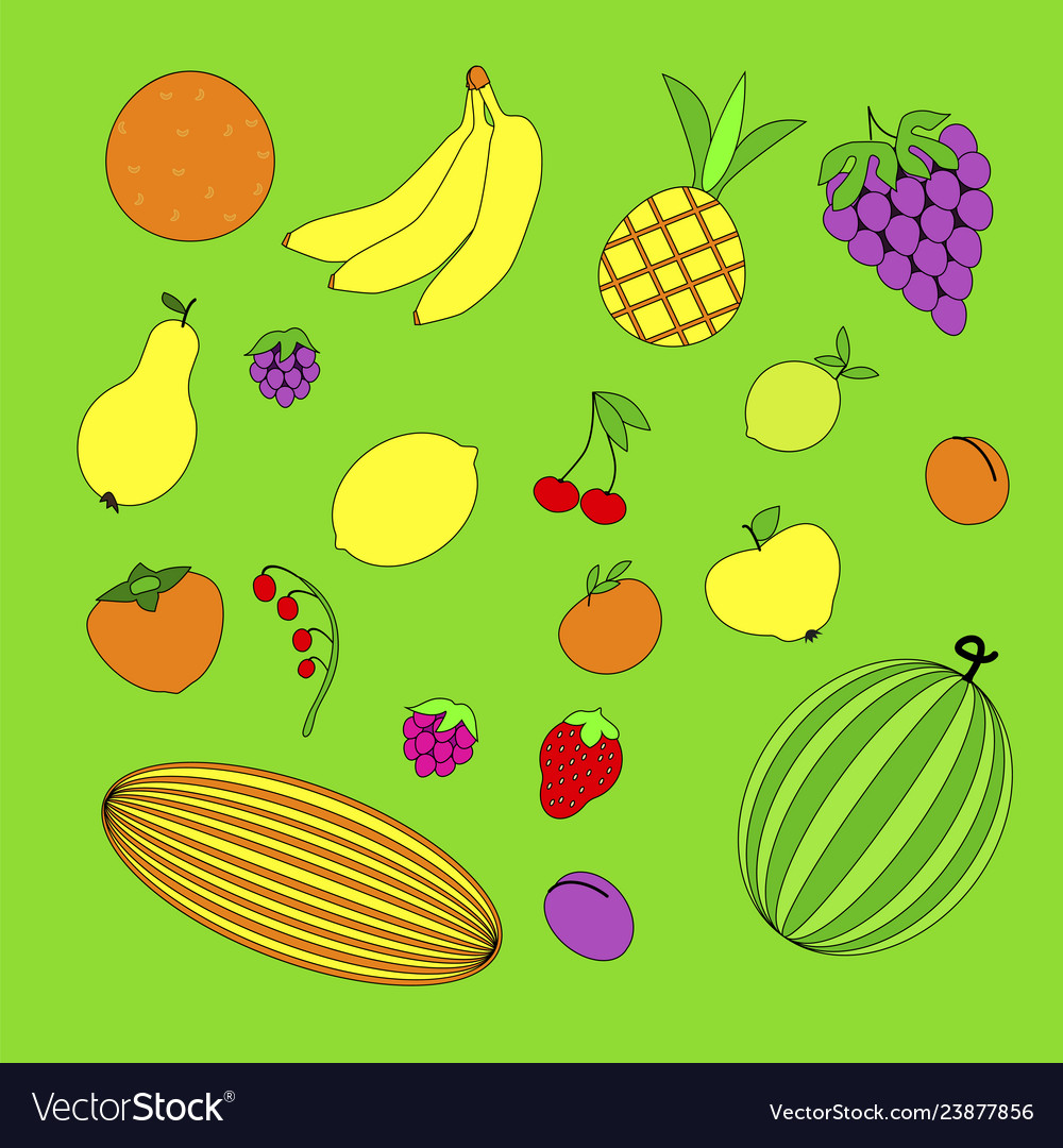 Fruit set Royalty Free Vector Image - VectorStock