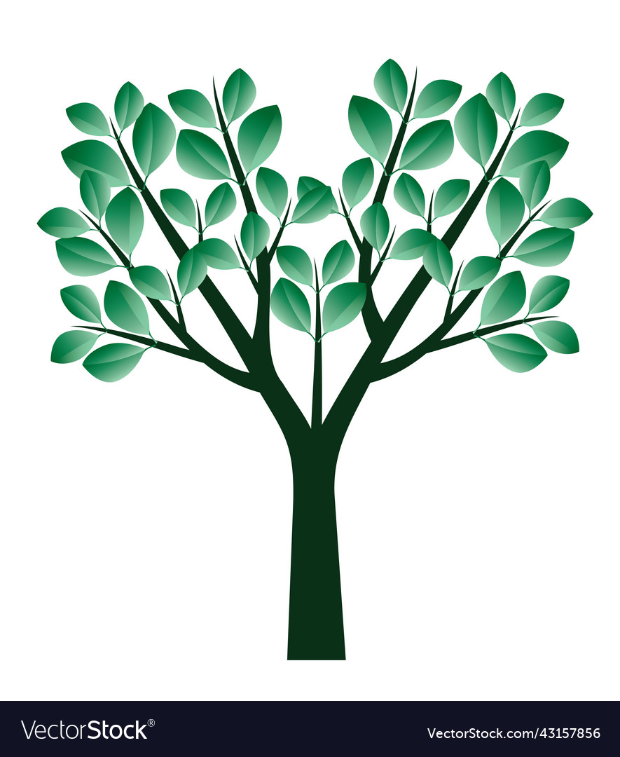 Green spring tree Royalty Free Vector Image - VectorStock