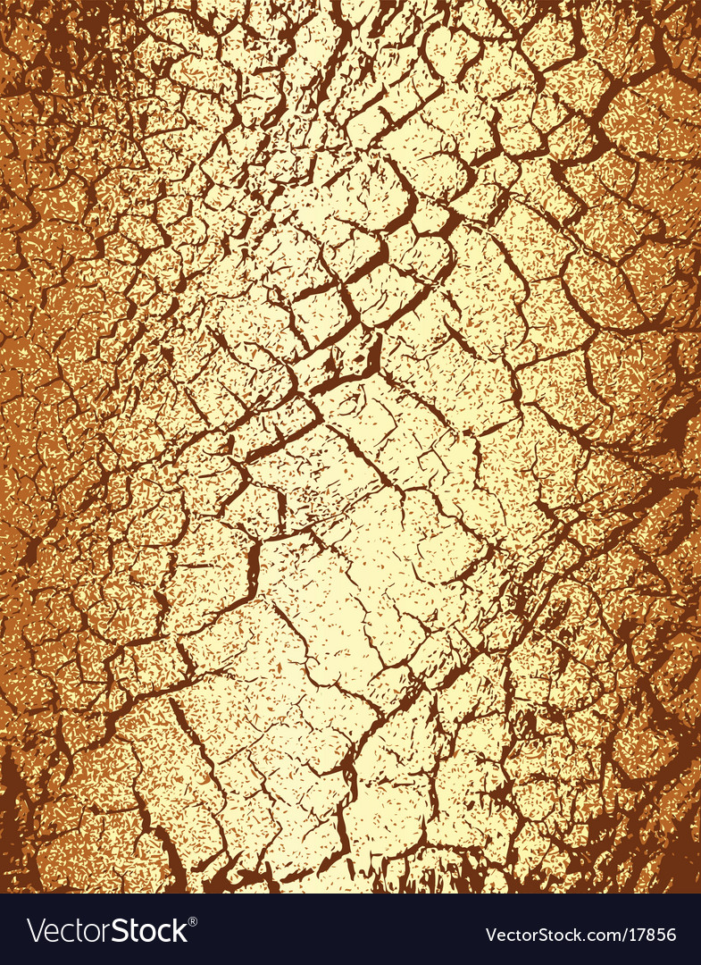 Tree bark Royalty Free Vector Image - VectorStock