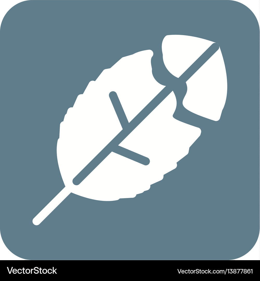 Broken leaf Royalty Free Vector Image - VectorStock