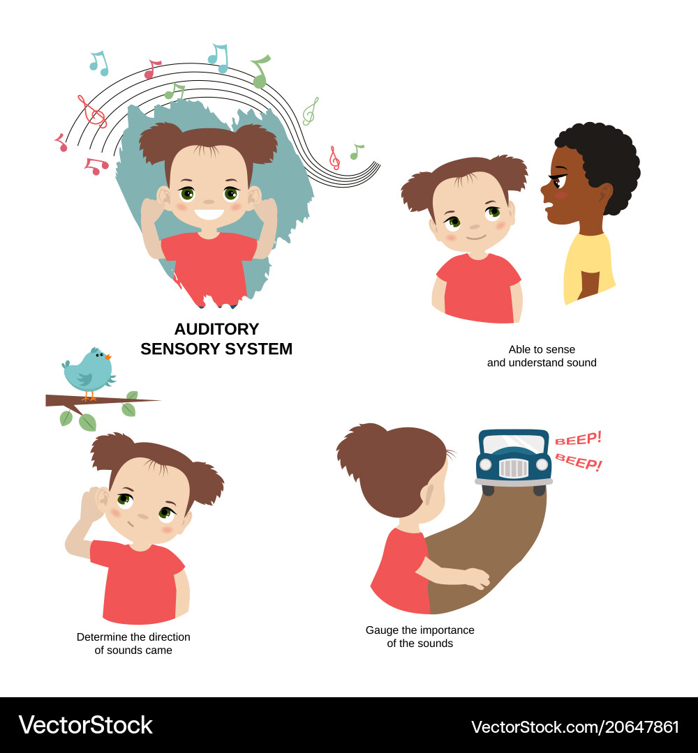 Human senses of human senses Royalty Free Vector Image