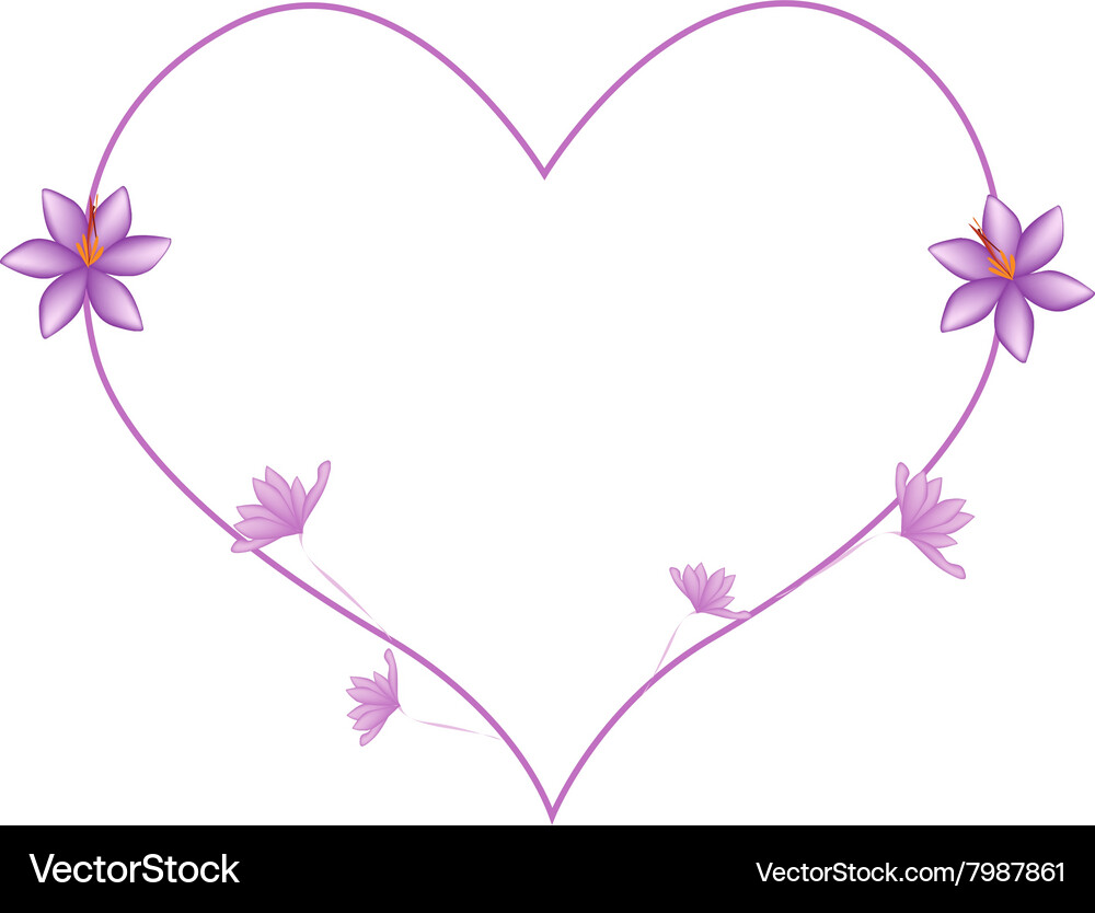 Pink crocus sativus flowers in a heart shape Vector Image