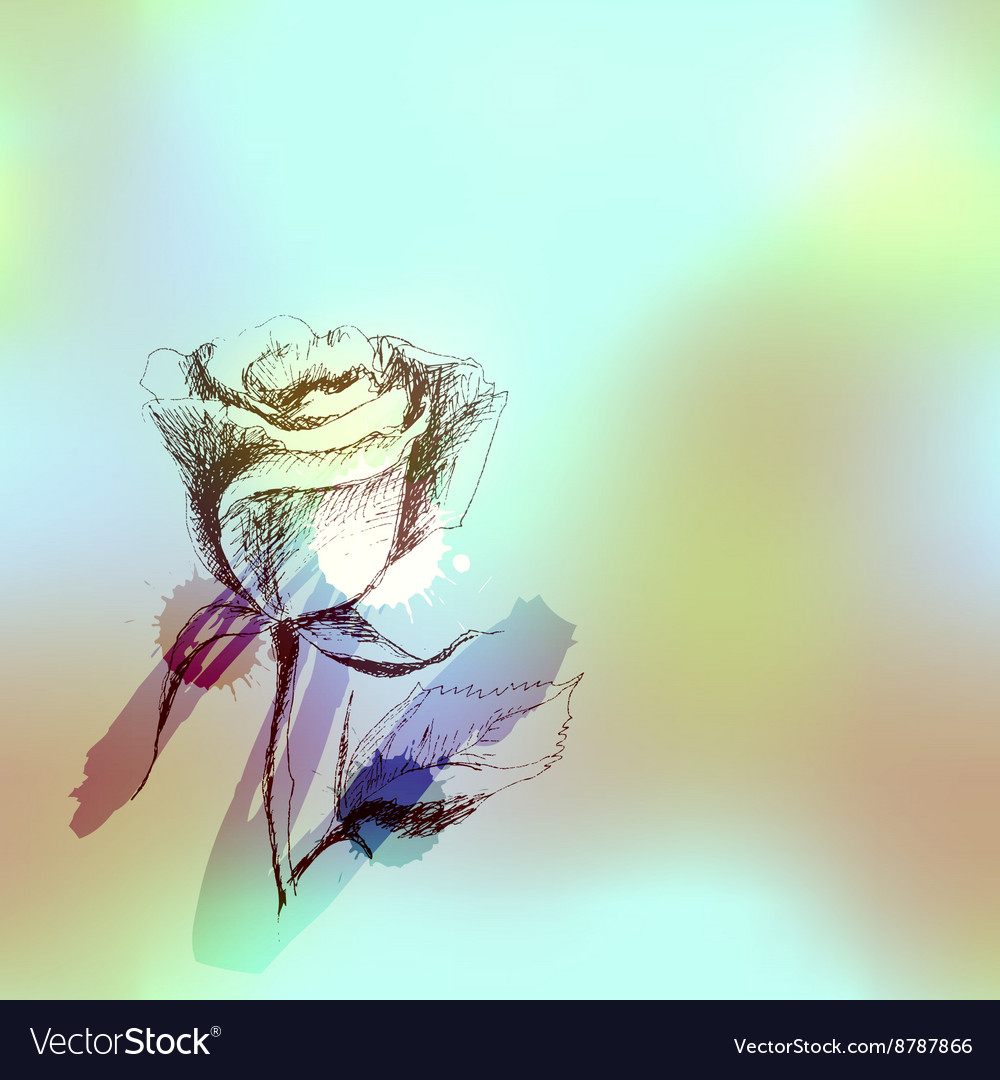 Hand drawn Royalty Free Vector Image - VectorStock