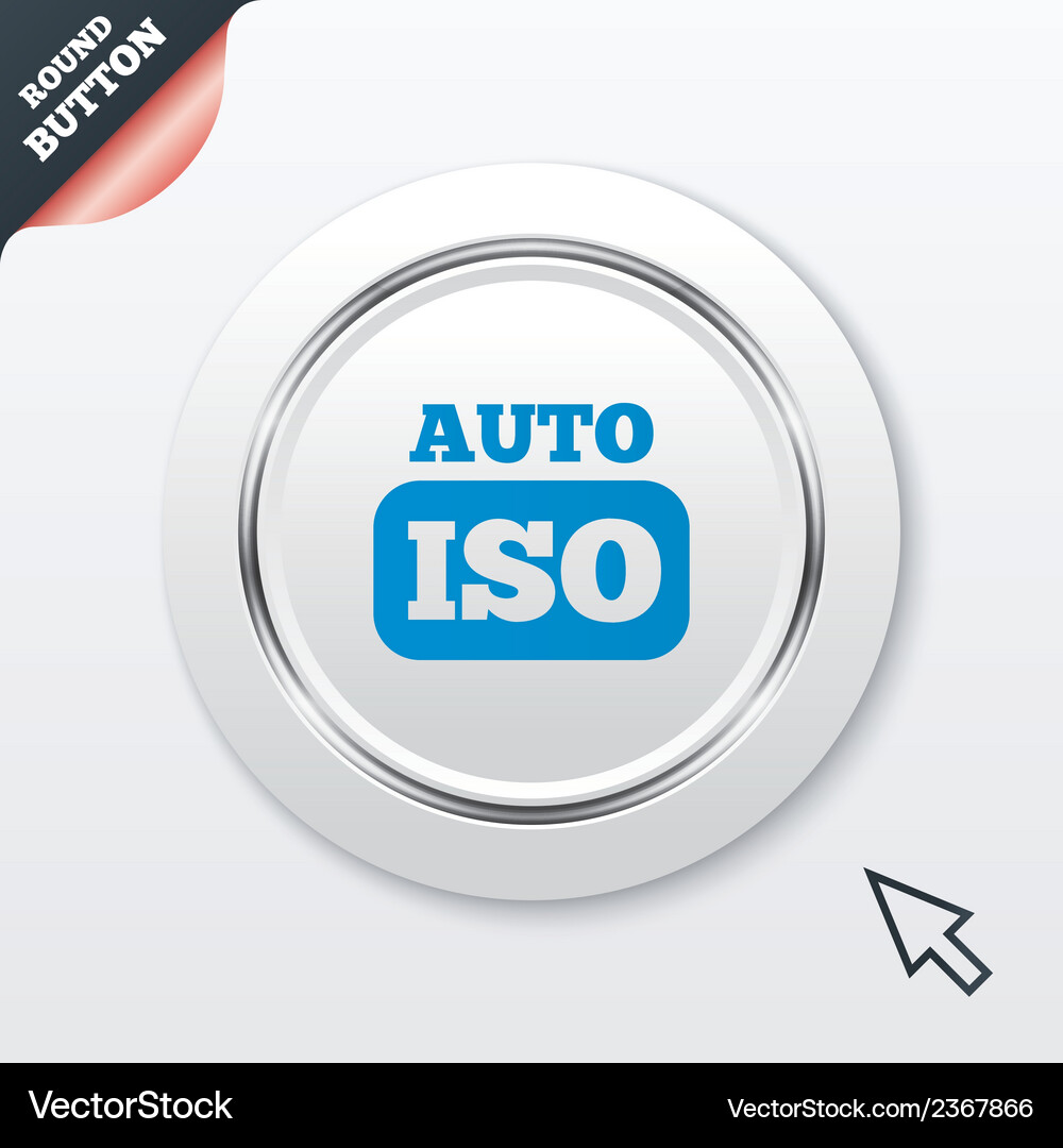 Iso auto photo camera sign icon settings symbol Vector Image