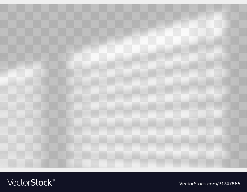 Transparent window shadow light effect Royalty Free Vector