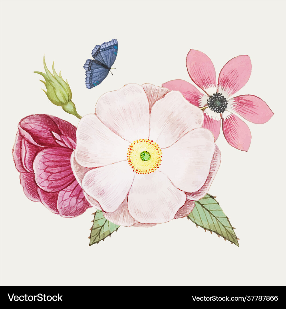 Wild rose in vintage style Royalty Free Vector Image