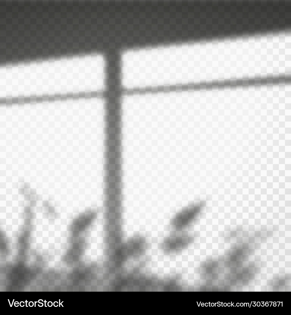 Realistic shadow overlay effect with leaves Vector Image