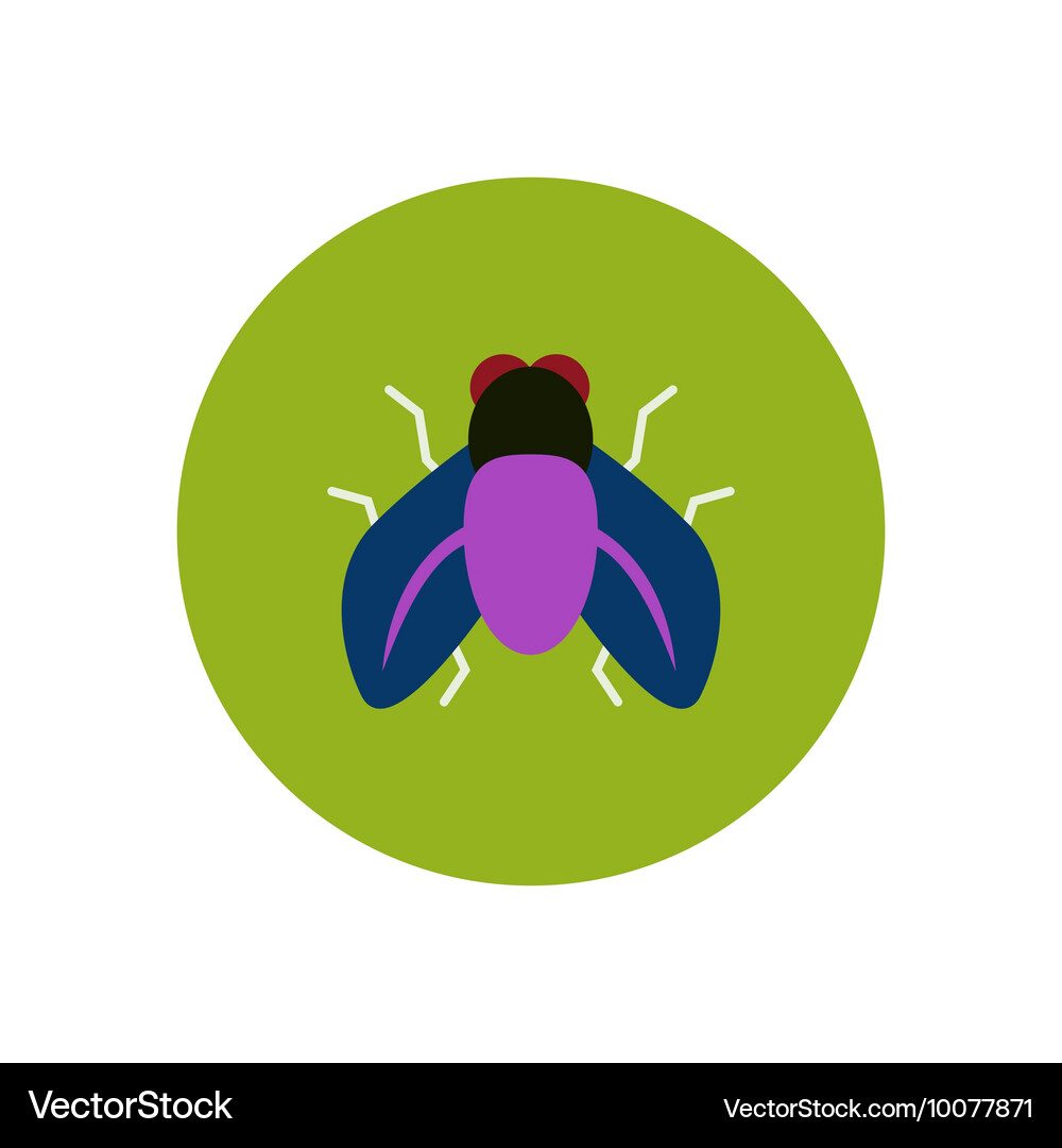 Stylish icon in color circle fly insect Royalty Free Vector