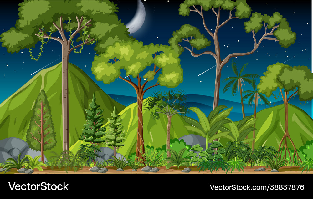 Forest landscape scene at night with many Vector Image