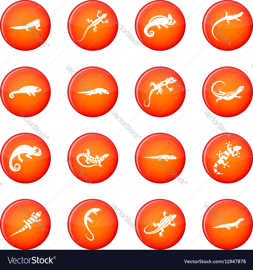 Lizard icons set Royalty Free Vector Image - VectorStock