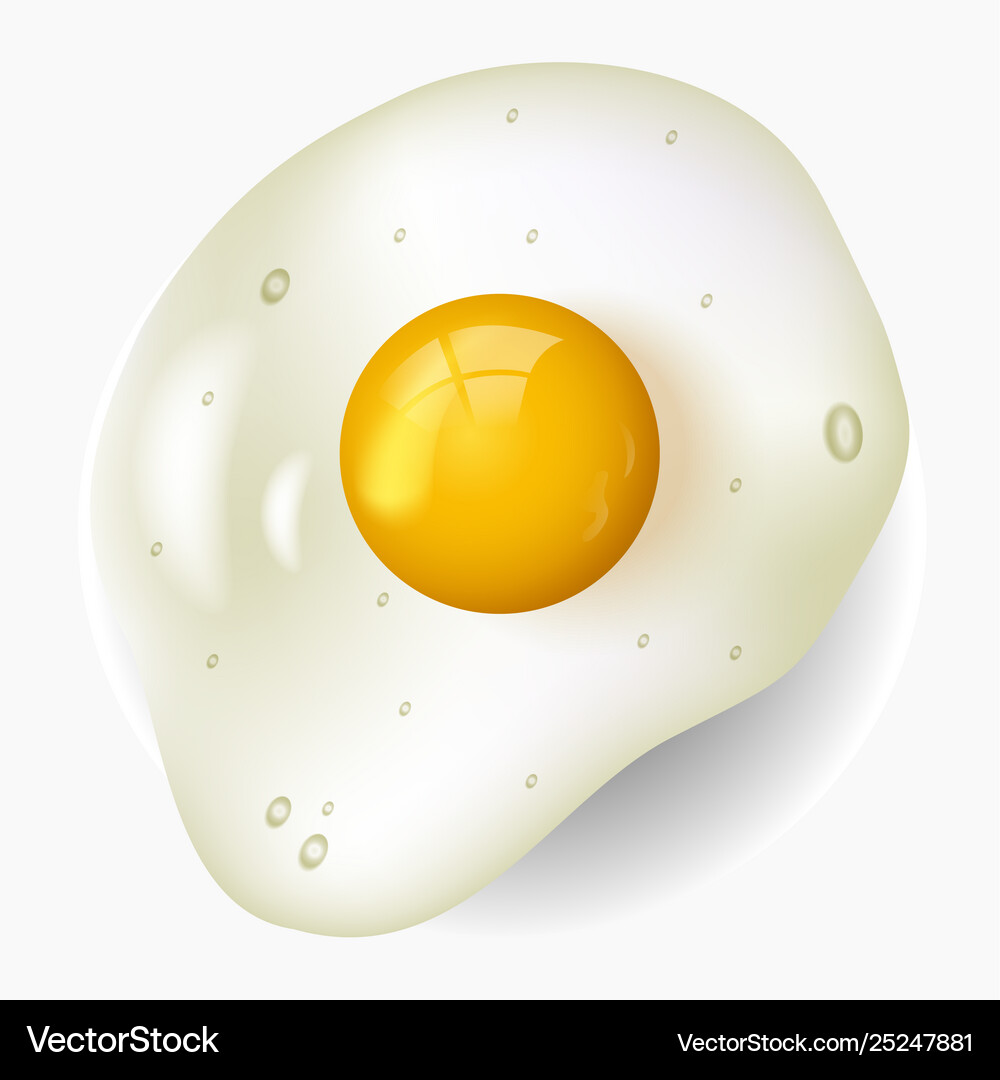 Fried egg isolated on white background Royalty Free Vector