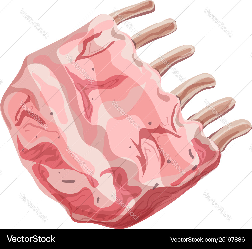 Raw meat steak icon cartoon style Royalty Free Vector Image