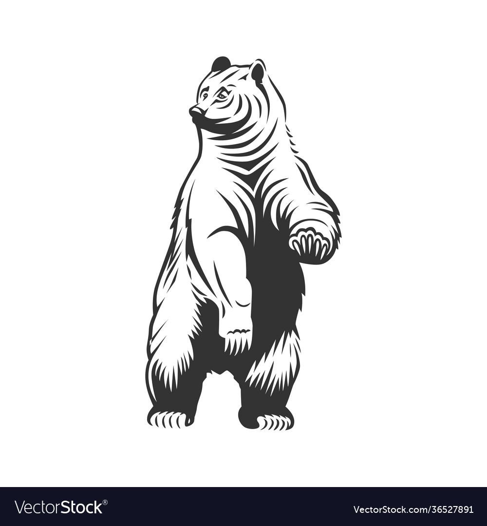 Bear Royalty Free Vector Image - VectorStock