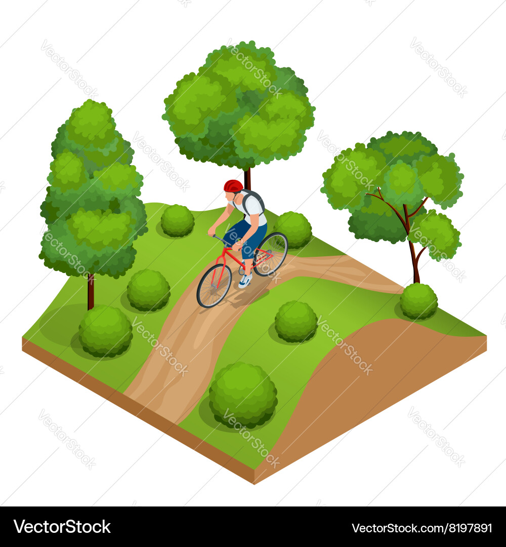 Biker in forest cycling on track from behind Vector Image