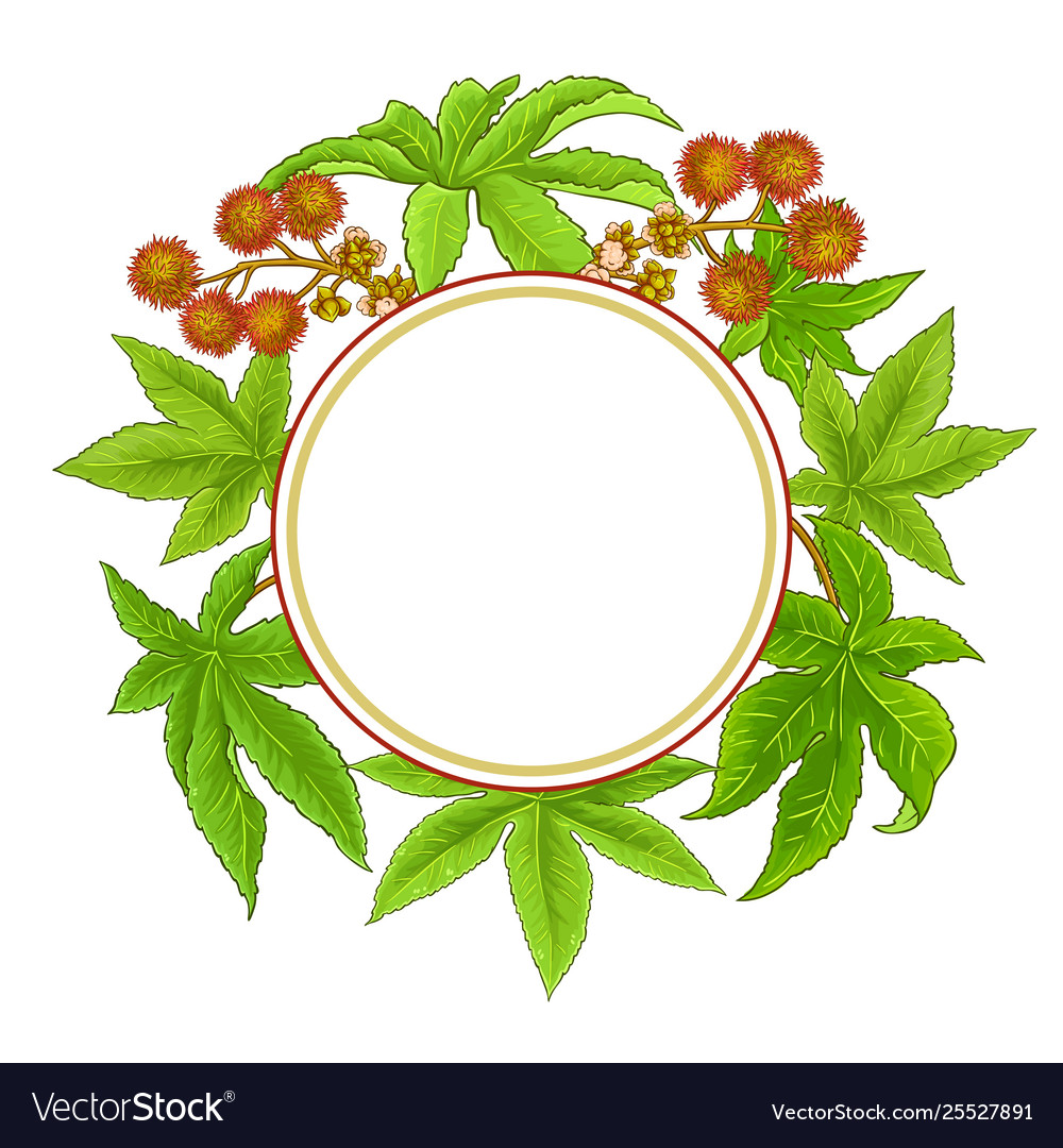 Castor frame Royalty Free Vector Image - VectorStock