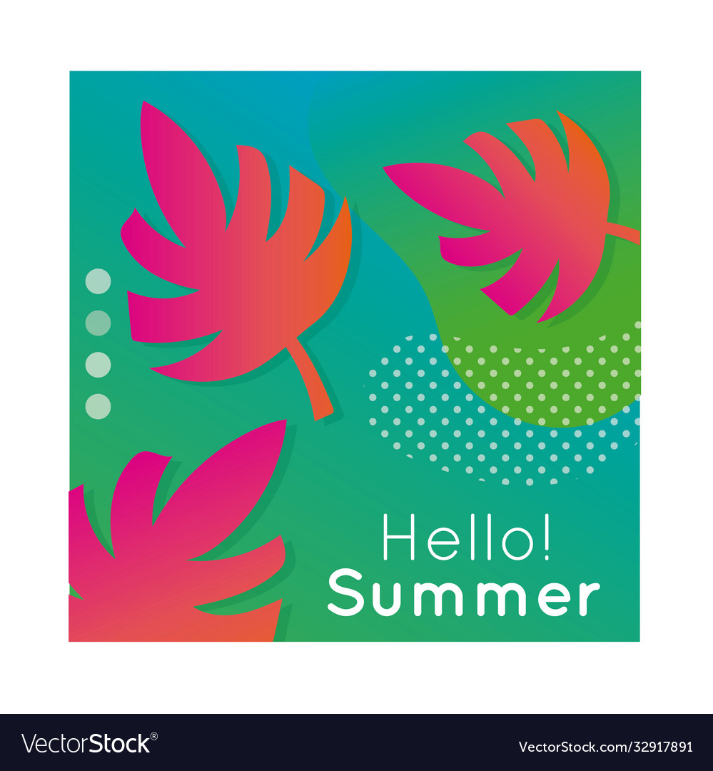Hello summer colorful banner with leaf plant Vector Image
