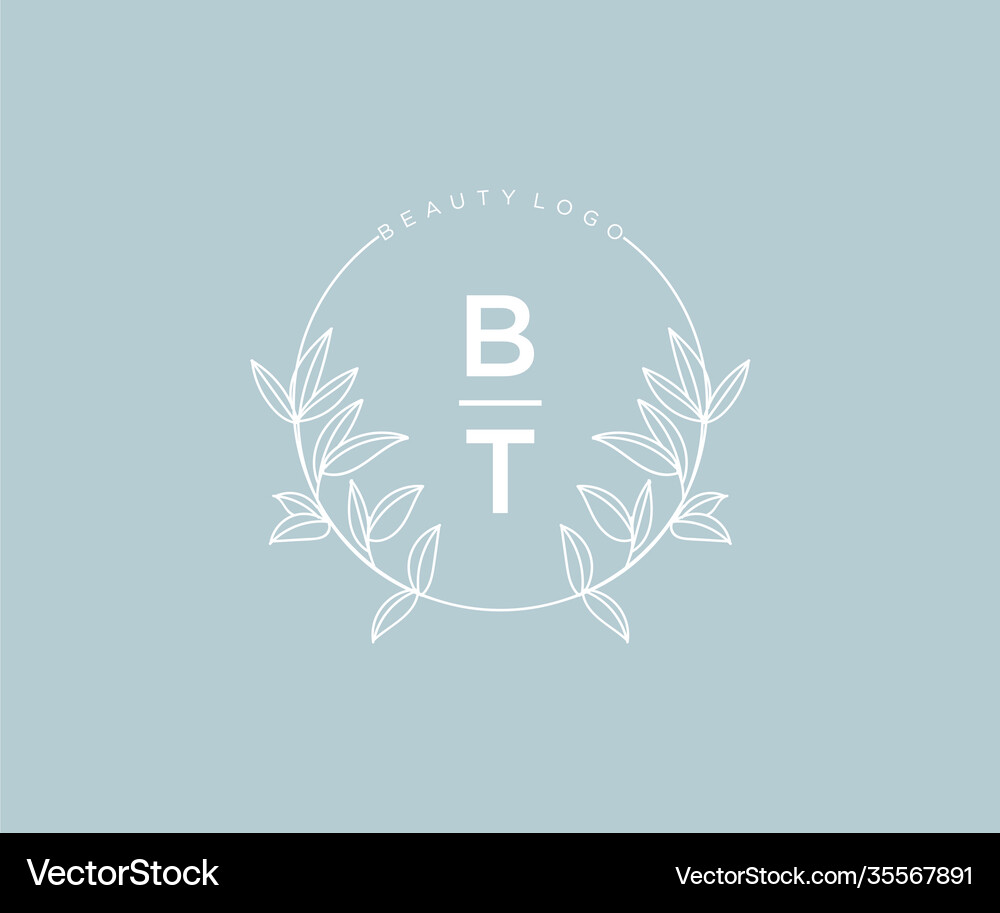 Initial bt letters beautiful floral feminine Vector Image