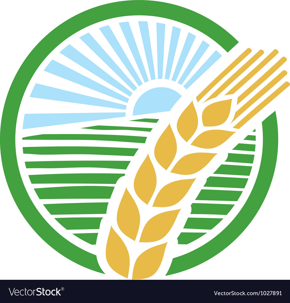 Wheat label Royalty Free Vector Image - VectorStock