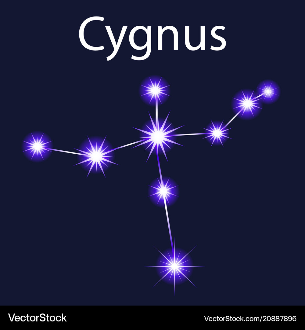 Constellation cygnus with stars in night sky Vector Image