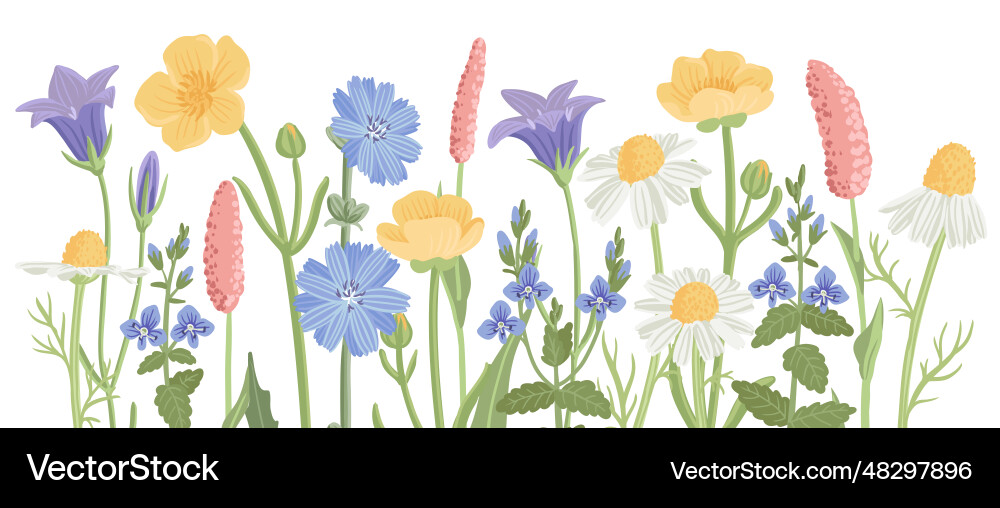 Drawing wild flowers Royalty Free Vector Image