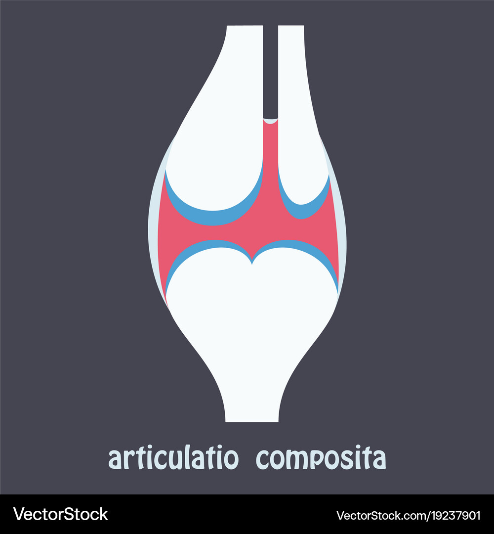 Knee joint health care icon flat Royalty Free Vector Image