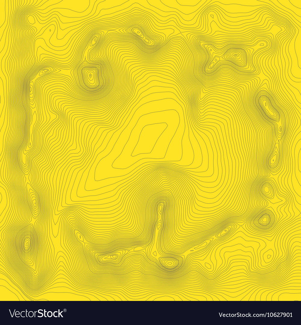 Topographic Map Background Concept With Space Vector Image 