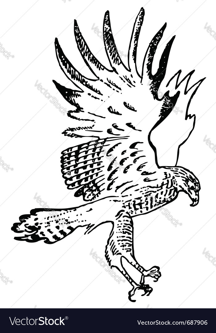 Big bird Royalty Free Vector Image - VectorStock