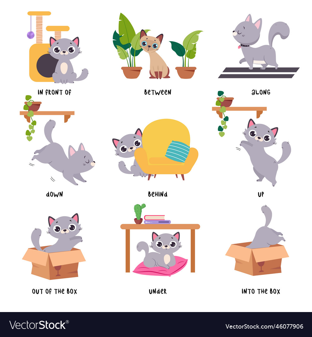 Cute grey cat demonstrating prepositions with Vector Image