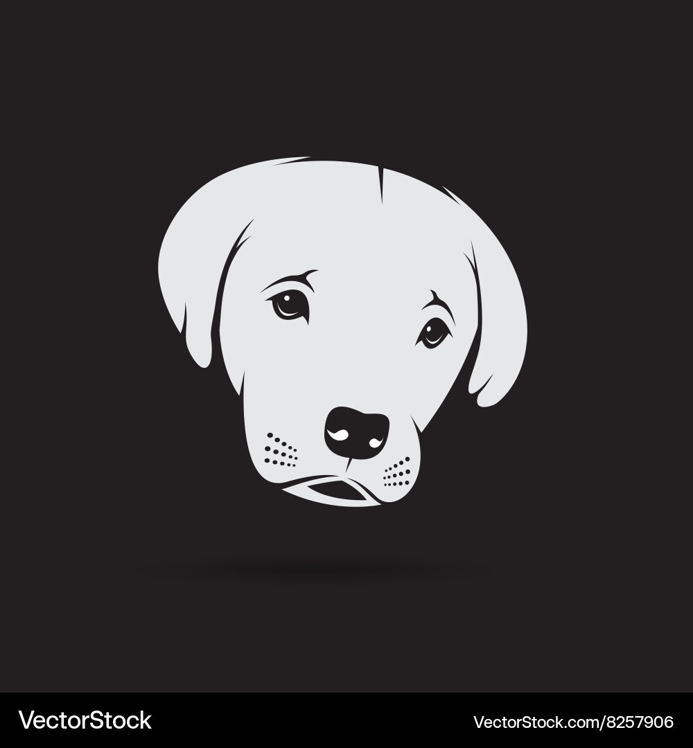 Image of an labrador puppy face Royalty Free Vector Image
