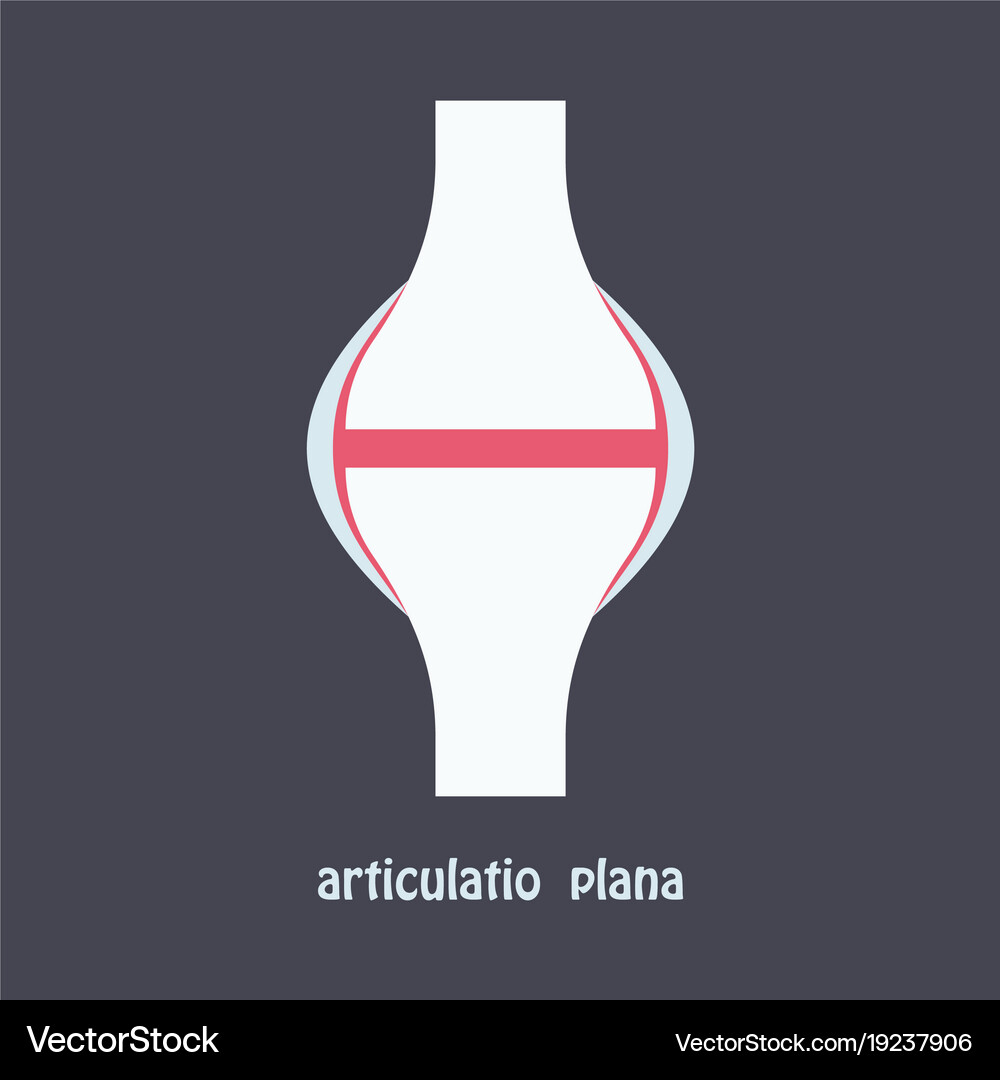 Knee joint health care icon flat Royalty Free Vector Image