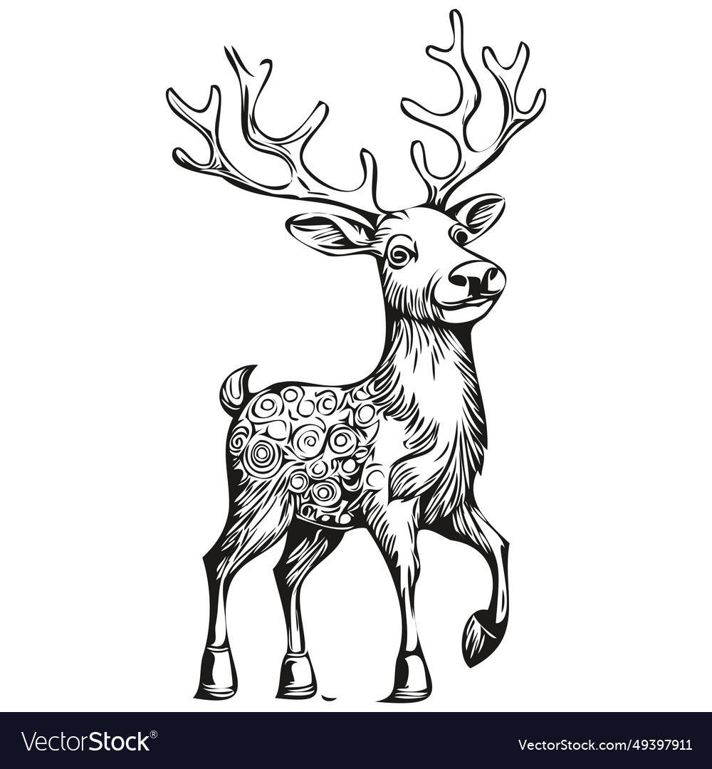 Christmas reindeer deer hand drawn vintage sketch Vector Image Christmas reindeer deer hand drawn vintage sketch Vector Image