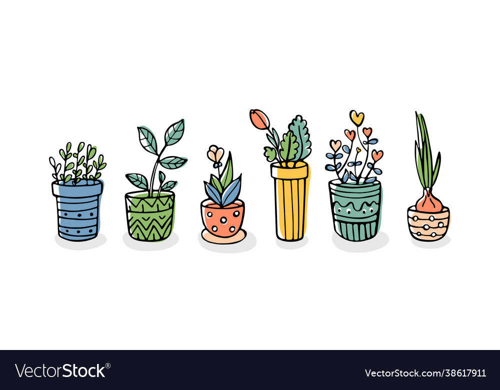 Doodle plants in pots set sketch style Royalty Free Vector