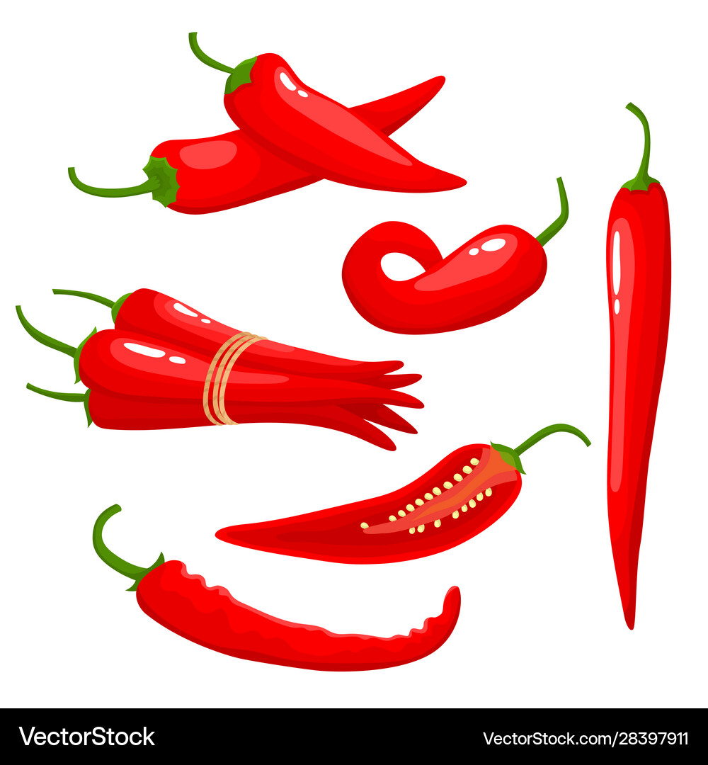 Hot chili pepper isolated on white background Vector Image