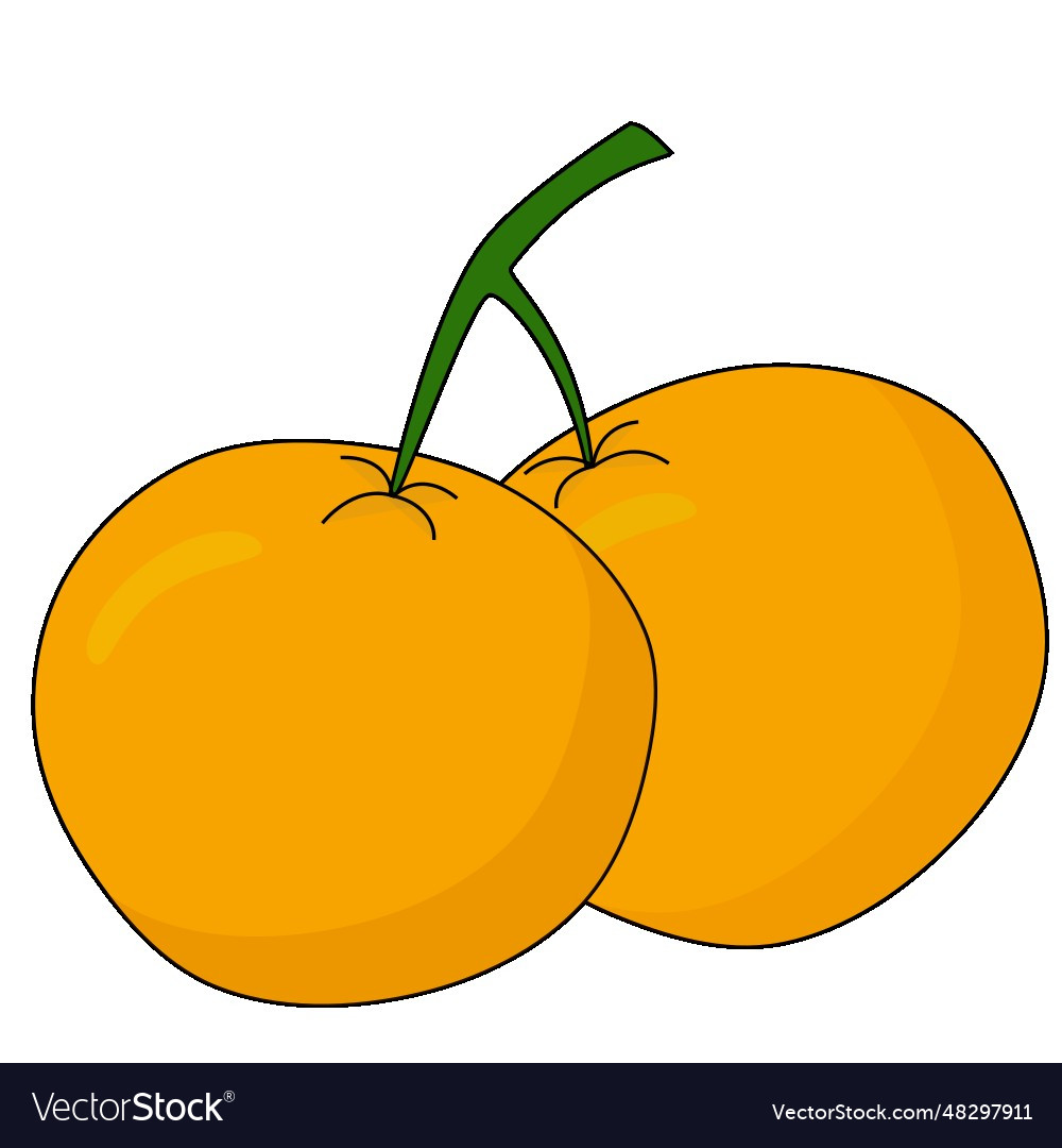 Jeruk Royalty Free Vector Image - VectorStock