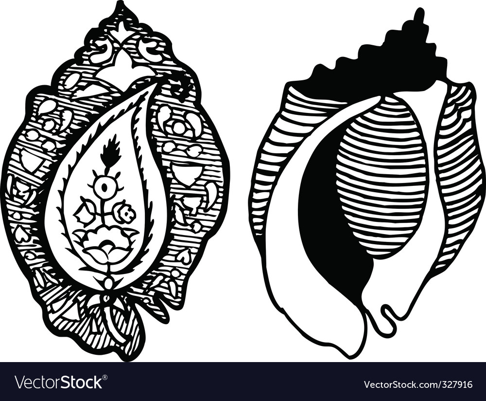 Cockleshell Royalty Free Vector Image - VectorStock