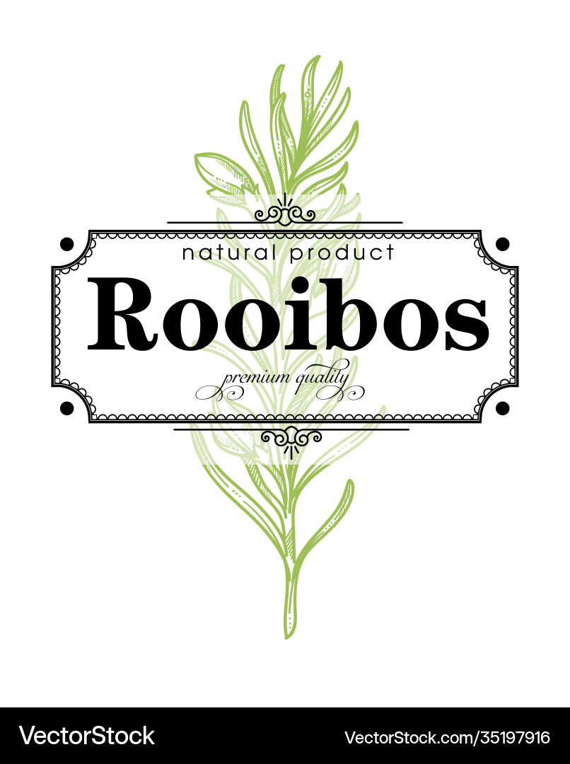 Rooibos premium quality product retro label Vector Image